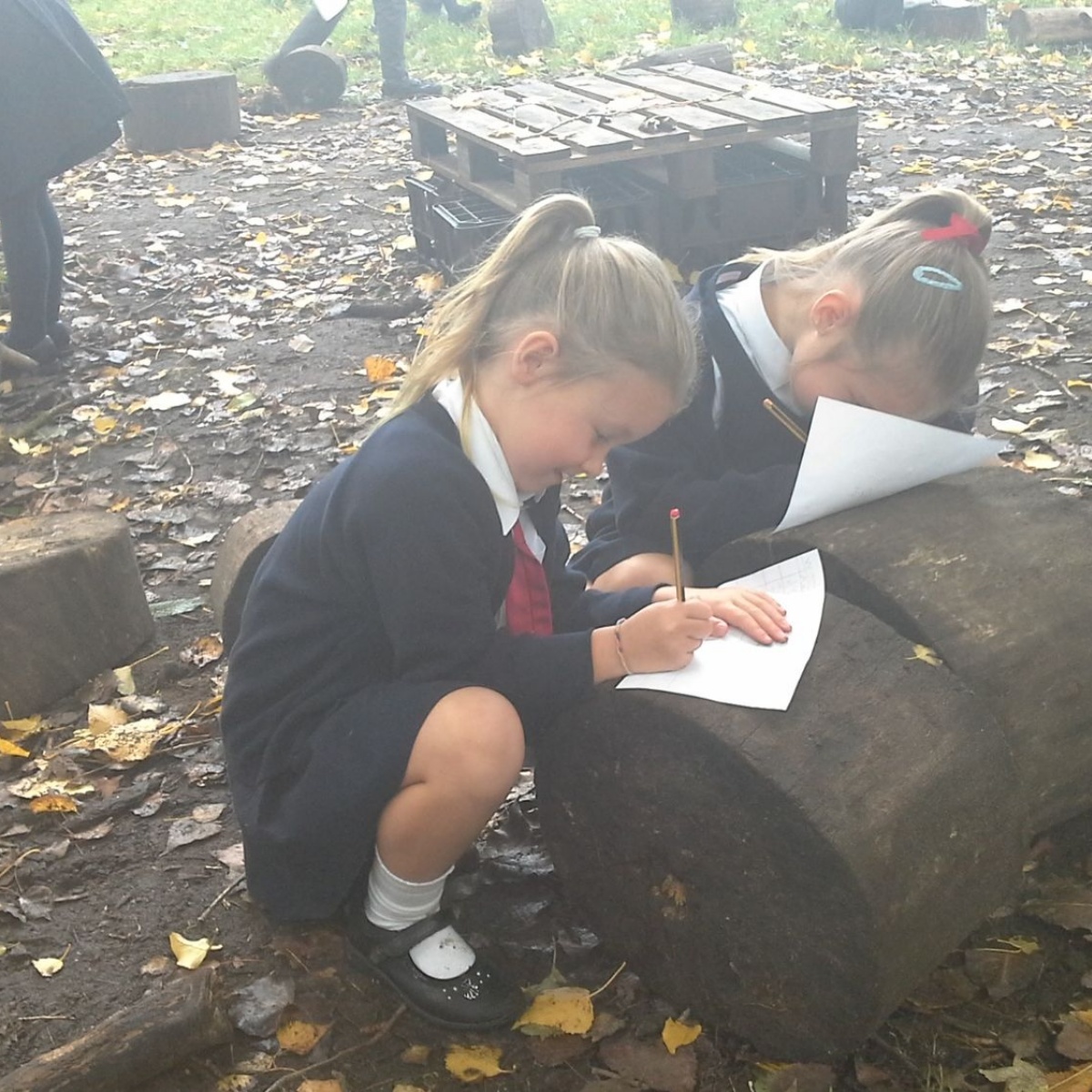 Cardinal Newman Catholic Primary School - Blue Class - Science